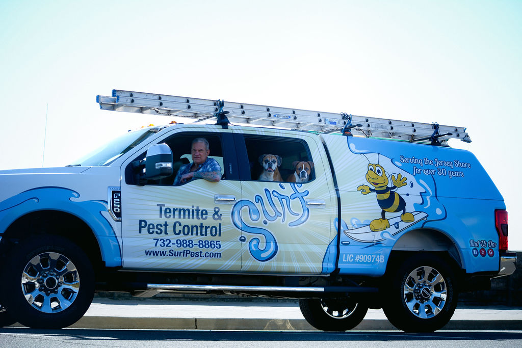 Surf Termite & Pest Control | Neptune & [Greater New York] | Pest ...